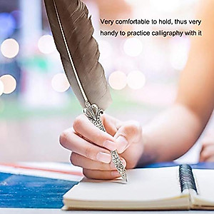 GLOGLOW Feather Pen, Vintage Handmade Quill Feather Dip Pen Set with 5 Extra Nibs Empty Ink Bottle Retro Calligraphy Writing Pen Stationery Gift with Packing Box(#2)