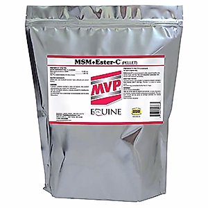 MSM+ Ester C (10lb) Immune Support for Horses