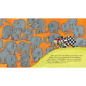 Elmer and Rose (Elmer Picture Books)