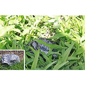 FingerLakes Hide-A-Spare Key Fake Rock - Looks, Feels & Weighs Like Real Stone - Safe for Gardens, Yards, Geocaching