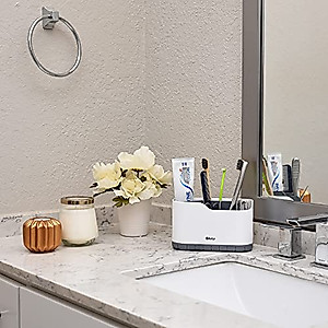 OMAIA Sink Caddy - Sink Organizer for Home, Kitchen, Wash Basin - Holder with Removable Dividers for Sponge, Brush, Toothbrush…