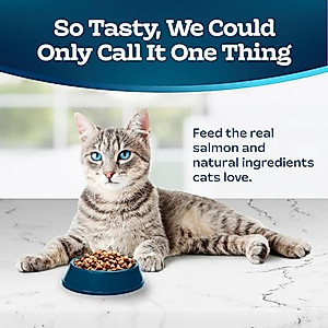 Blue Buffalo Tastefuls Adult Hairball Care Dry Cat Food, Made in the USA with Natural Ingredients, Chicken & Brown Rice Recipe, 3-lb. Bag