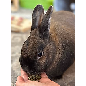 Sherwood Pet Health Adult Rabbit Food Alfalfa Timothy Hay-Based Blend 10 lbs, Grain and Soy-Free for Better Digestion