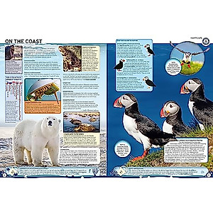 Guinness World Records 2024