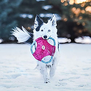 ZippyPaws - Rope Gliderz Durable Outdoor Dog Toy Flying Disc - Magenta