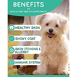 Skin and Coat Chews for Dogs - Omega 3 Supplement for Dogs with EPA & DHA Fatty Acids- Fish Oil Chews for Dogs with Salmon Oil & Vitamins - Dog Itchy, Dry & Shedding Skin Relief- Chicken, 120 Chews