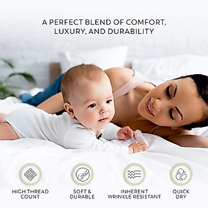 600 Thread Count Cotton Rich Queen Size Sheets Set Light Blue, Easy Care Ultra Soft & Silky Sateen Weave Deep Pocket Sheet Set (1 Flat, 1 Fitted Sheet & 2 Pillowcases), Fall Bedding Set