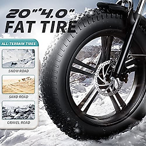 Auloor Electric Bike,750W Ebike for Adults with 48V 12.8Ah Battery,20" Fat Tire Electric Bike,30MPH Folding Electric Bicycle 7-Speed E Bike (Black, Standard)