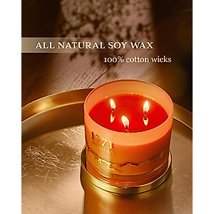 1771 Aromas Pumpkin Spice Scented Candles - 100% Natural Soy Wax - Large 3 Wick Jar Candle - Fall Candles - Up to 50 Hours Burning - Aromatherapy Candles - Housewarming Gift for Men and Women