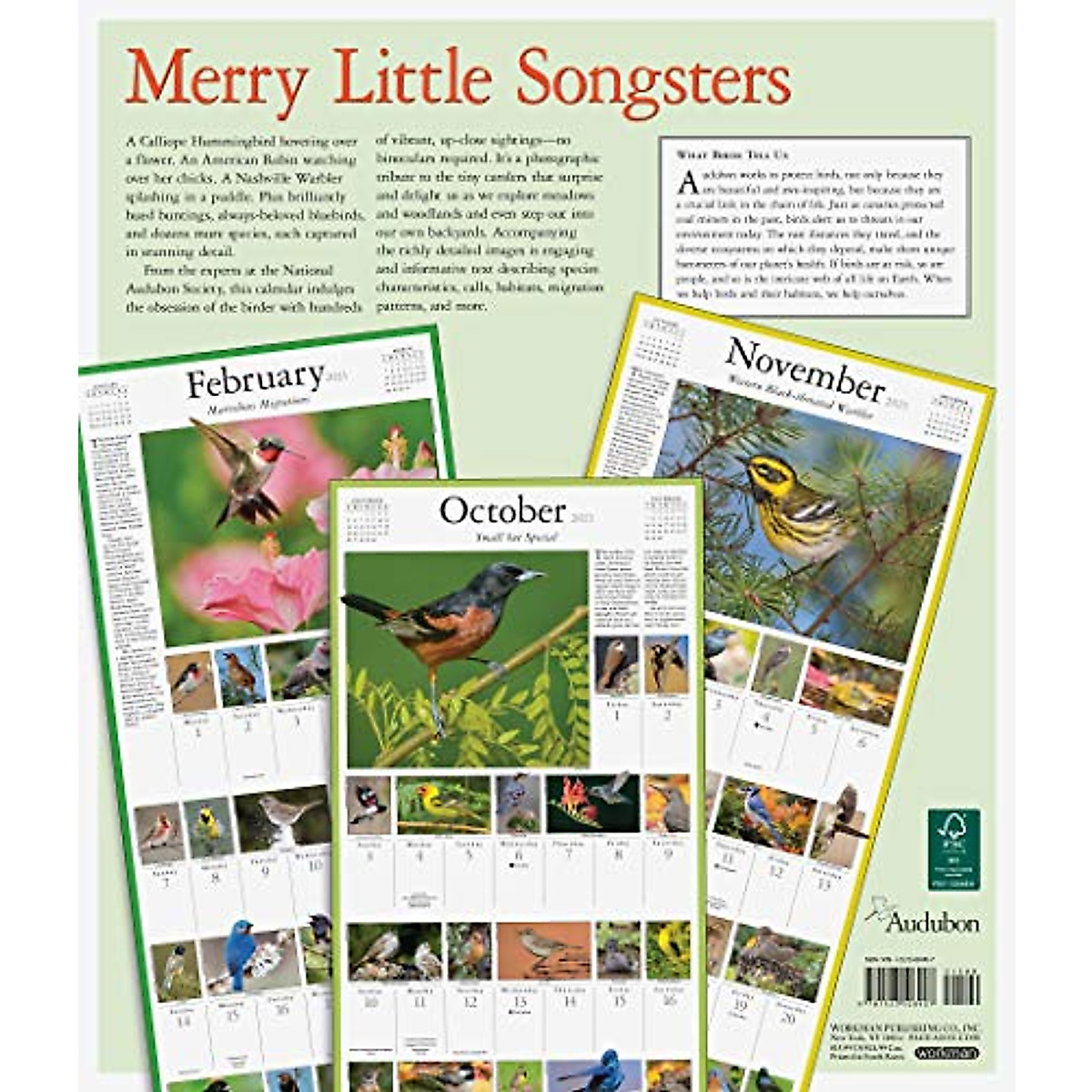 Audubon Songbirds and Other Backyard Birds Picture-A-Day Wall Calendar 2021