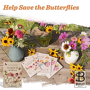 Bentley Seeds Pollinator Seed Mix - Pre-Filled, Non-GMO, Non-Coated Butterfly Seed Packets - 25 Annual Wildflower Seed Packs - Perfect Eco-Friendly Gift