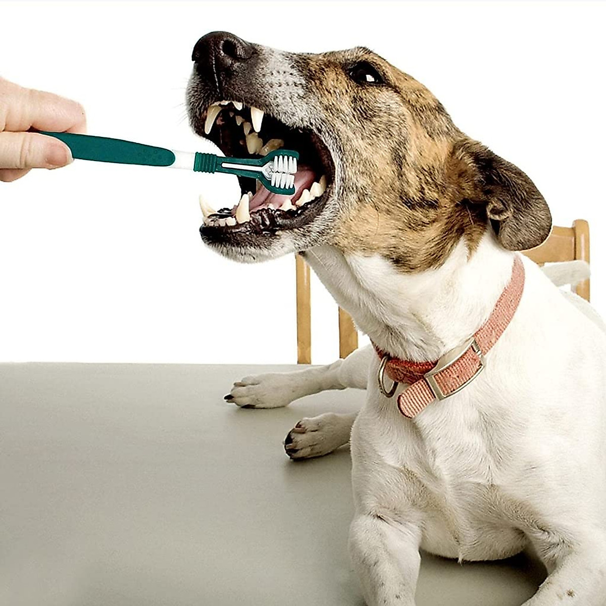 Dog Toothbrush, Triple Headed Toothbrush Dog Toothbrush for Pet ...