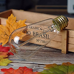 Jslinter 6-Pack Edison Light Bulb, Warm White 2200K Old Fashioned Incandescent Light, 60 Watt Dimmable ST58 Antique Vintage Style Light, Clear Glass e26 Base(60w/110v)