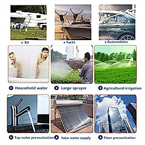 High Pressure Diaphragm Water Pump, Self Priming Pump Overheat Protection Copper Motor DC12V 9.8ft Head 5.8LPM for Misting