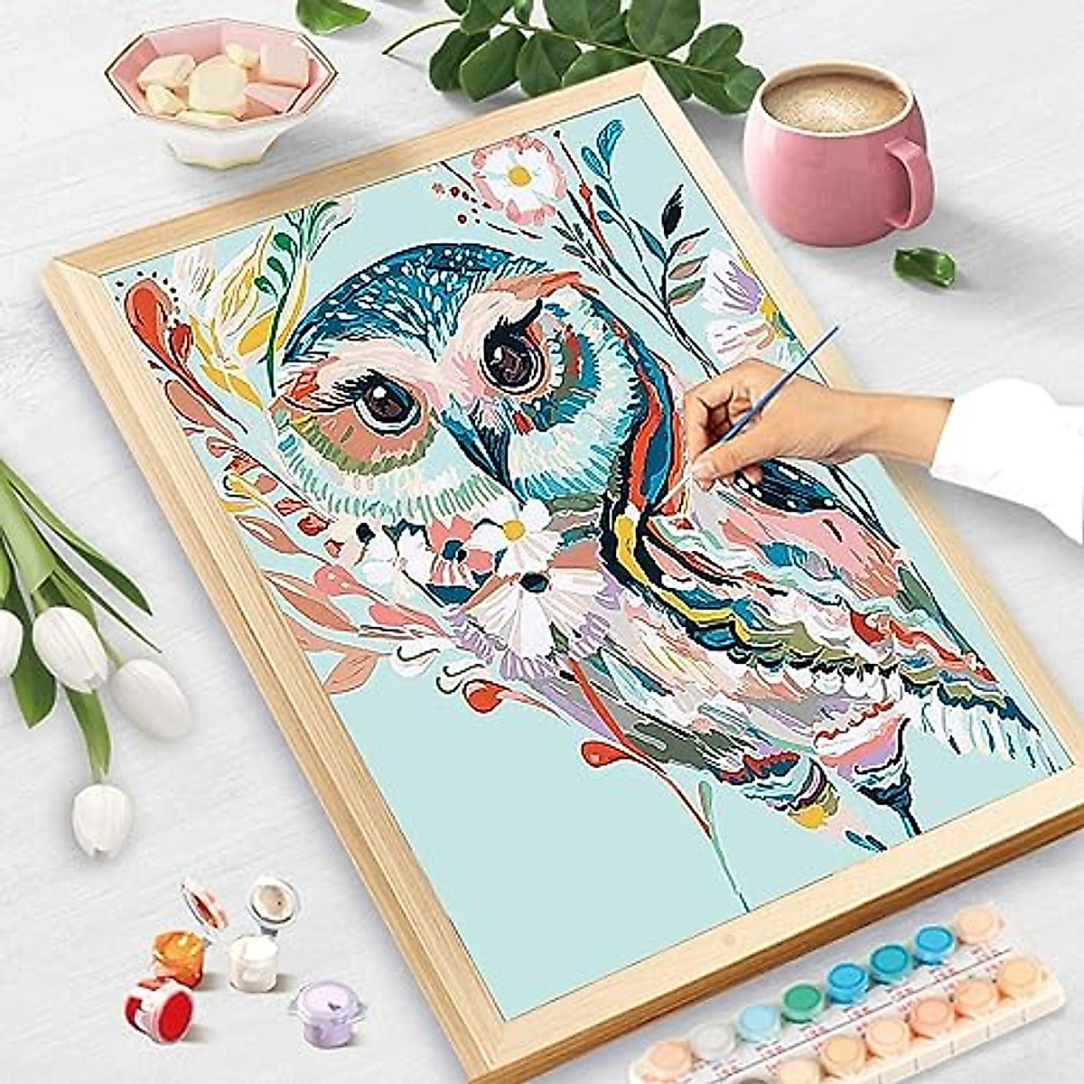 DIY Paint by Numbers for Kids & Adults & Beginne,DIY Canvas Painting Gift Kits for Home Decoration,Rainbow Owl Home Wall Decor 16x20''(Without Framed)
