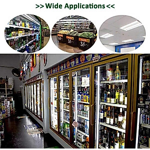 Romwish 2FT LED Tube Light, T8 T10 T12 Type B LED Light Bulb, 10W(24W Equiv.), 5000K Daylight, 1120LM, 24 Inch F20T12 Fluorescent Replacement, Remove Ballast, Double-Ended Power, Clear Cover, 4 Pack