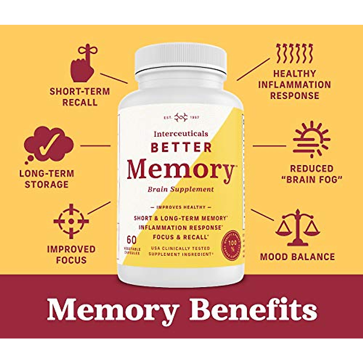 Interceuticals Better Memory - Theracurmin Curcumin 90 mg - Clinically Proven Dose, Improves Focus, Recall, Memory, and Mood* - High Absorption Turmeric Extract* (1 Bottle)