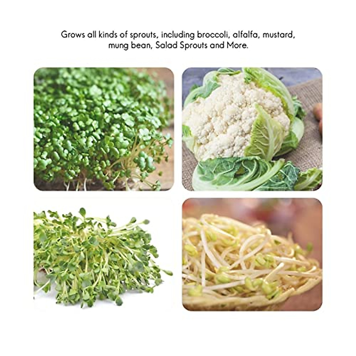 KRAZI 4 Pack Sprouting Lids, Plastic Sprout Lids with Stainless Steel Screen for Wide Mouth Mason Jars, Sprouter Sprout Maker