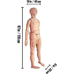SHENGANG Female, Male PVC Patient Care Manikin Training CPR Simulator Basic Nursing Skills Geriatric Human Model for Medical Nursing Training Manikin, Life Size,Male