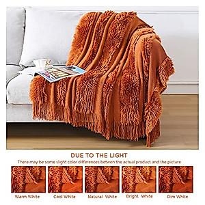 Blagic Extra Soft Throw Blanket for Couch-Lightweight Cozy Blankets and Throws for Bed & Sofa, Decorative Fuzzy Throw Blanket with Tassels(Orange Rust,50 x 60 in)
