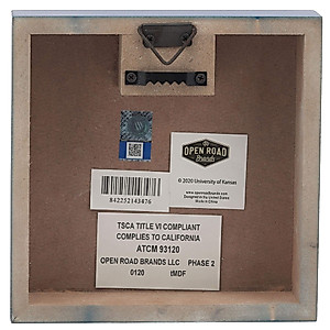 University of Kansas Jayhawks Wood Wall Decor - KU Jayhawks Box Sign for Man Cave, Office or Dorm Room