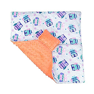 Soft Bearded Dragon Blanket with Pillow for Bearded Dragon Leopard Gecko Lizard Bath Towel Wrap to Snuggle or Sleep 18 × 18 Inch