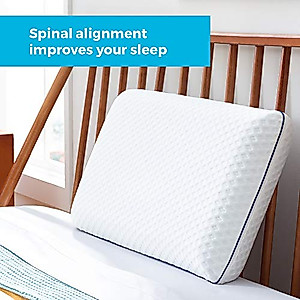 LINENSPA Pillow – Ventilated Gel Pillows Queen size – Memory Foam Pillows for Neck Support – Great for Side, Back, and Stomach Sleepers – Queen Size Pillows,Blue,white