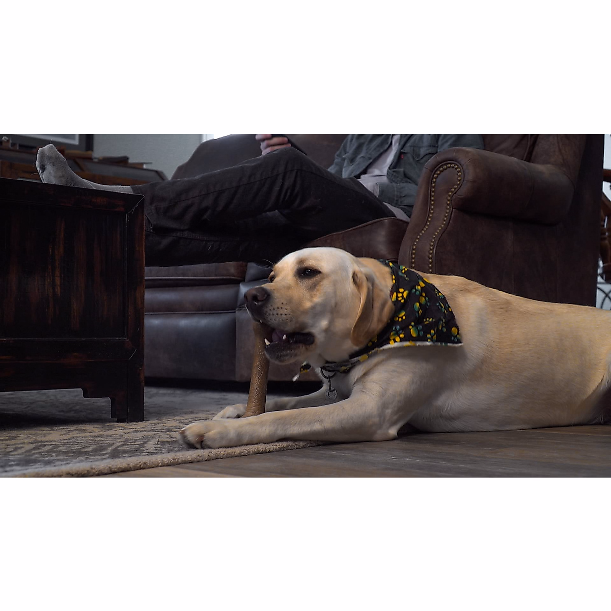 HERO | Bonetics | Dog Bones | Puppy Bones | Designed for Large Dogs Up to 65 lbs (Beef Flavor)