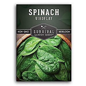 Survival Garden Seeds - Viroflay Spinach Seed for Planting - Packet with Instructions to Plant and Grow Nutritious Leafy Greens in Your Home Vegetable Garden - Non-GMO Heirloom Variety - 1 Pack