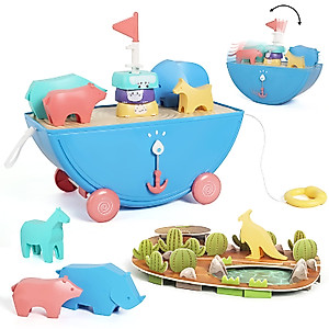 LilKisThk Montessori Toddler Toys Sorting and Stacking Games for Kids Preschool Learning Educational Gift for Boys Girls Age 3+ Years Old