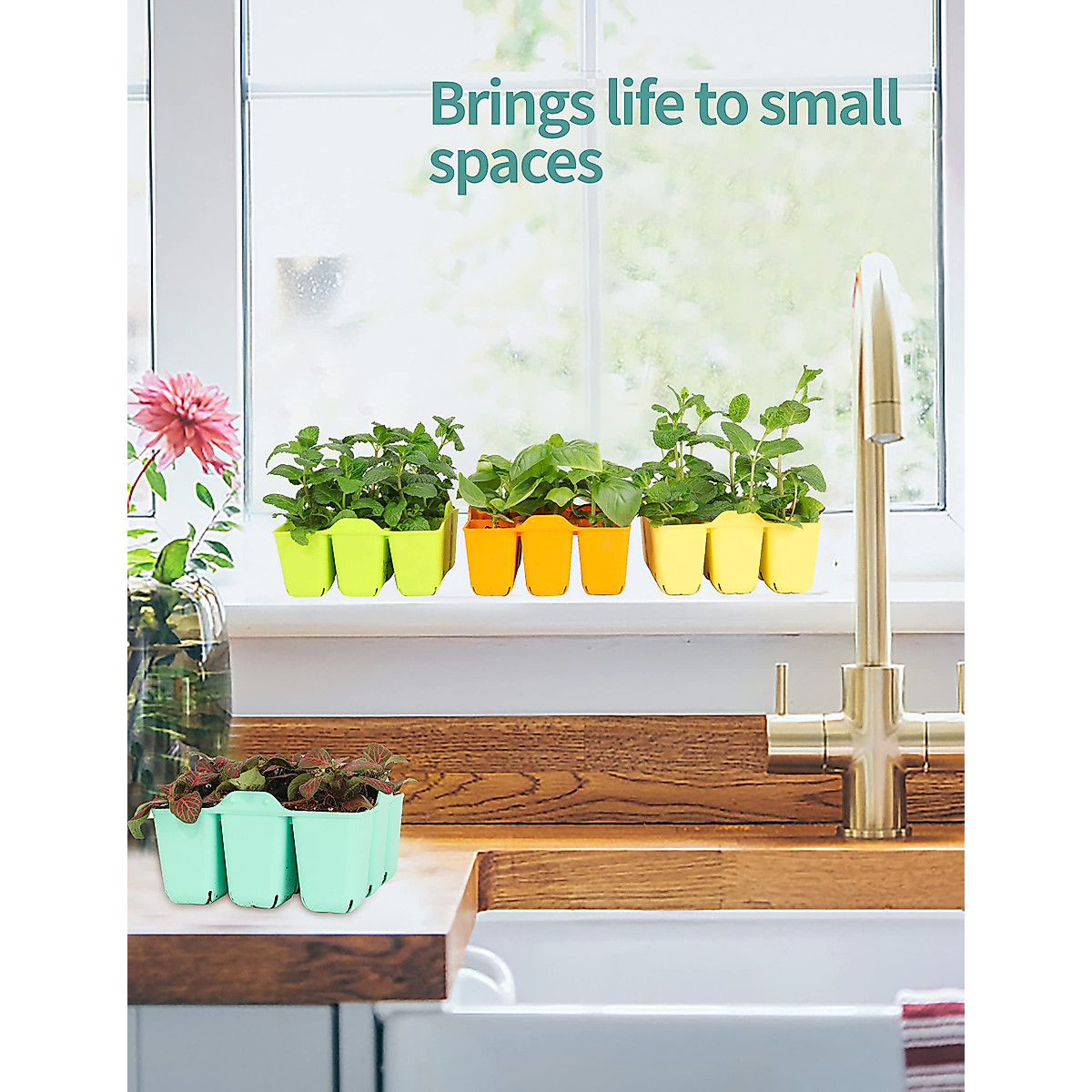 LUVCOSY 4 Packs Silicone Seed Starter Tray, Colorful Seedling Starter Trays Fit Up to 10" 10" Planting Tray, BPA-Free & Dishwasher Safe, Indoor Reusable Seedling Grow Kit for Vegetable, Flower, Herb