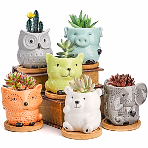 Frcctre 6 Pack Ceramic Succulent Pots, Small Succulent Planter Pots with Drainage and Bamboo Tray, Cute Animal Planting Pot Flower Pot Indoor Plant Pot for Succulent, Cactus, Garden Office Home Decor