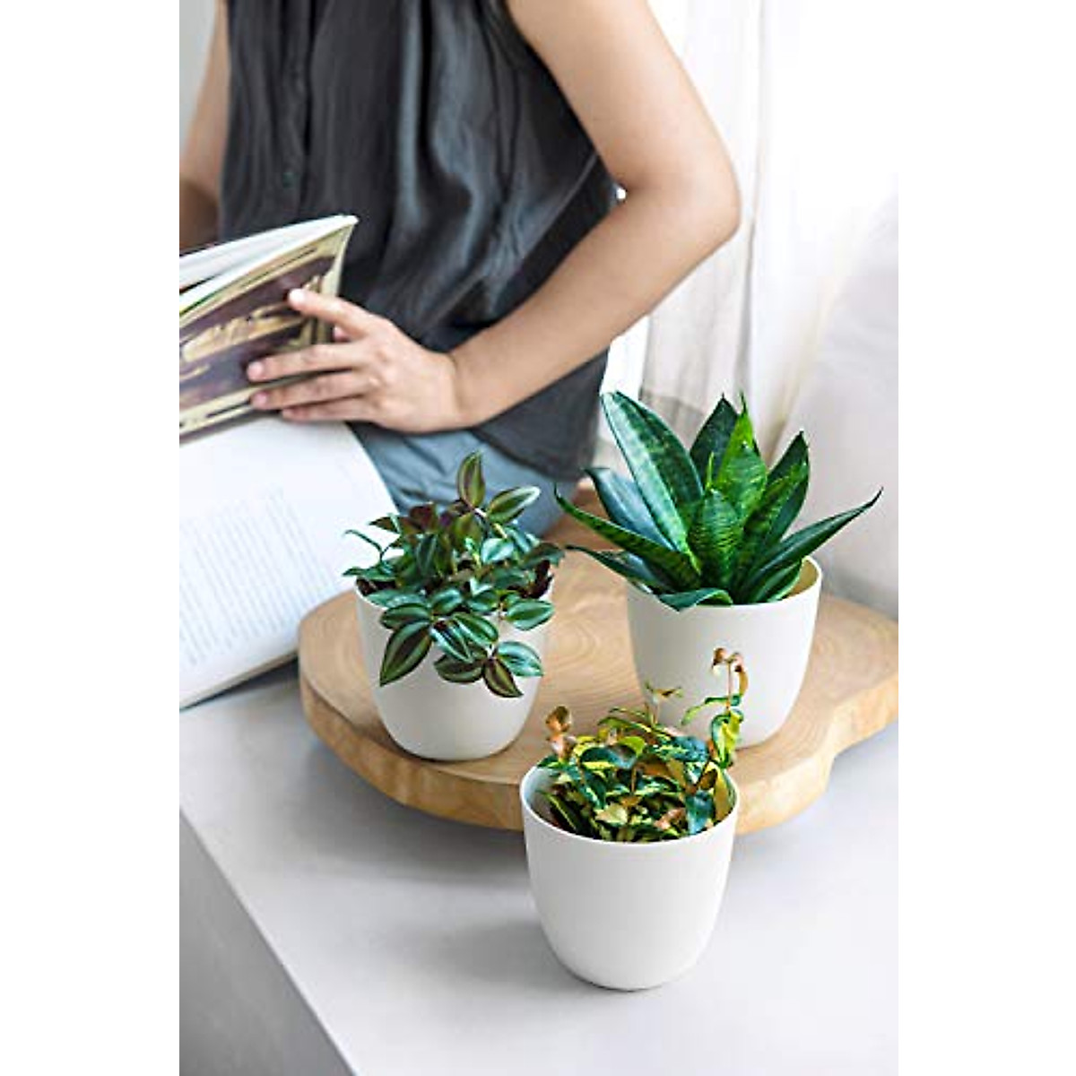 Mkono 4.5" Plastic Succulent Planters with Saucers, Indoor Set of 5 Nursery Pots Modern Flower Plant Pot with Drainage for All Small House Plants, Herbs, Foliage Plant, and Seedling, Cream White