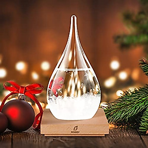 Gifts for Fathers, Fathers Day Decorations Storm Glass Christmas Snow Globe Weather Glass-Xmas Gifts,Mens Gifts for Christmas Unique,Unique Finds,Storm Glass Weather Predictor Christmas for Men Gifts
