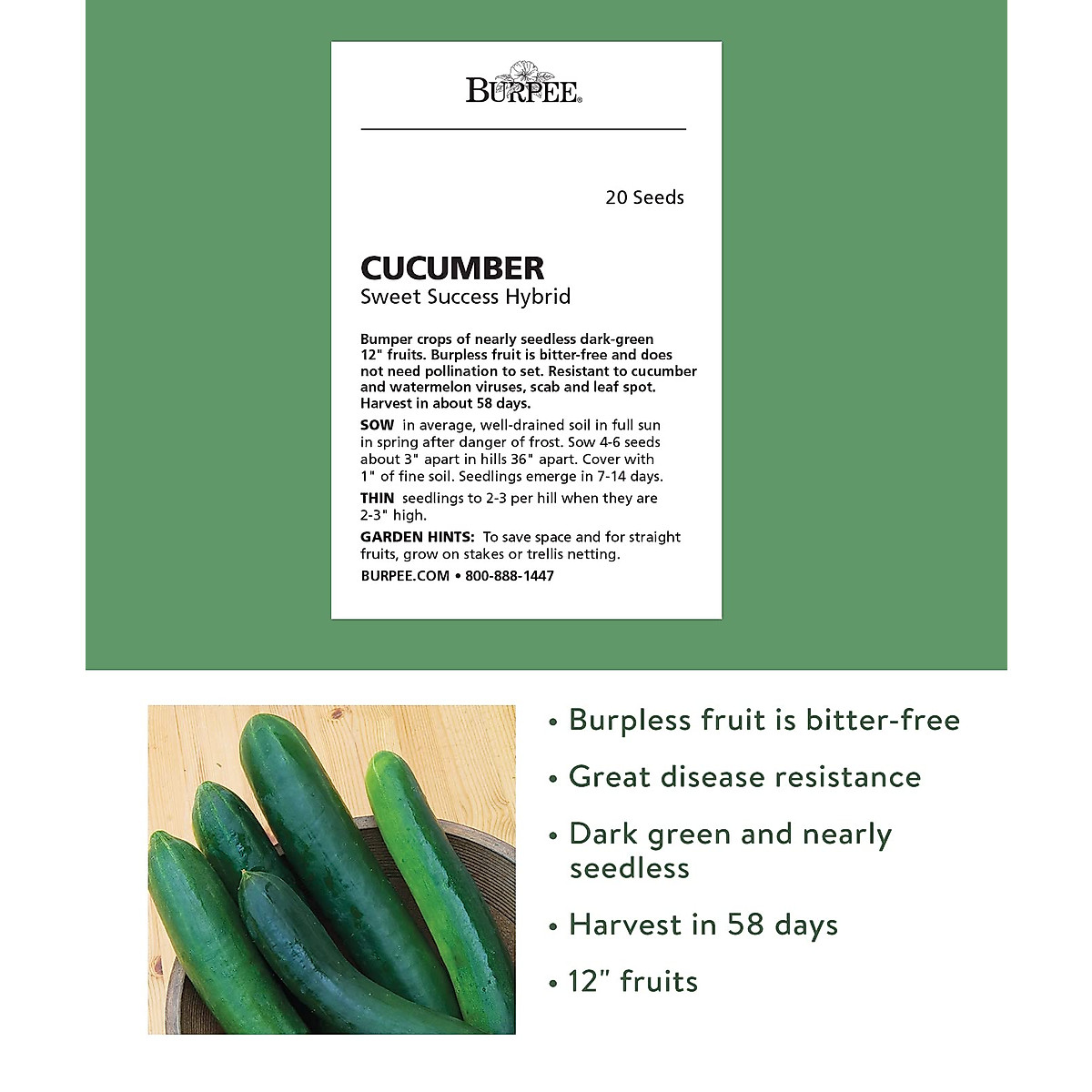 Burpee Sweet Success Slicing Cucumber Seeds 20 seeds