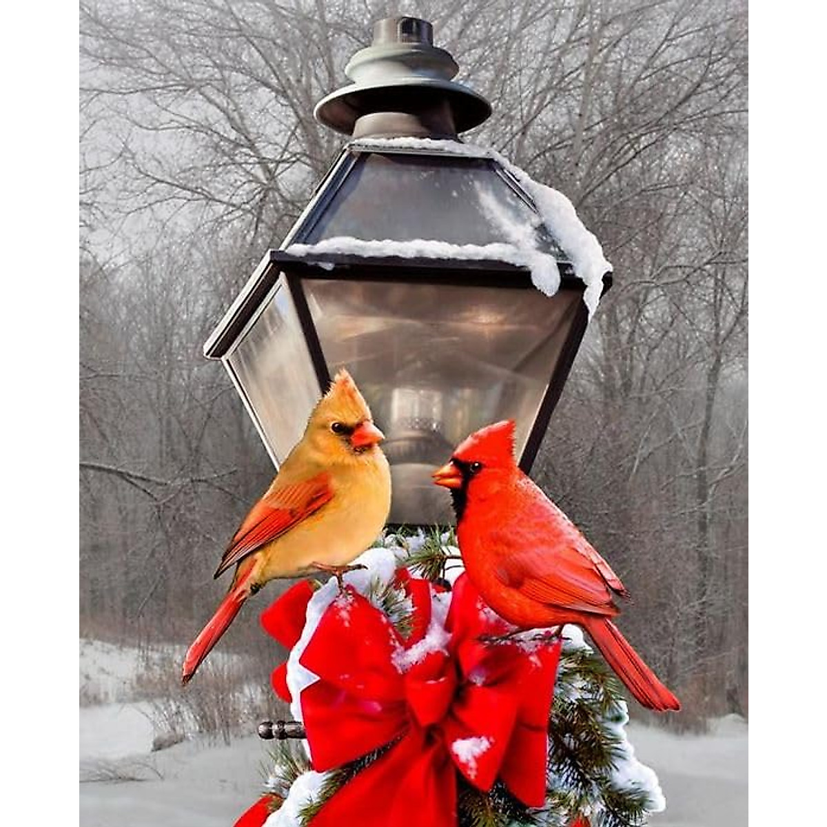 Cardinals and Street Lamp Cotton Fabric Panel 36 X 45 Inches, David Textiles GG0032
