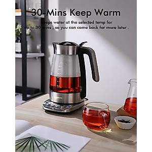 Electric Glass Tea Kettle with Infuser, 1.7L/1500W Fast Boiling, Stainless Steel, Temperature Control Tea Maker, BPA Free - Easy Lid Removal & Keep Warm Feature, Silver