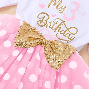 Winter Birthday Outfit Girl My Third Birthday Mini Dress Up Cake Smash Outfit Toddler Baby Tulle Tutu Skirt Long Sleeve Mouse 3rd Birthday Party Supply Three Years Old Photo Props Polka Dots Pink
