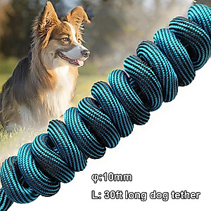 BTINESFUL Tie-Out Check Cord Long Rope Dog Leash, 12ft 20ft 30ft 50ft Recall Training Lead Leash- Great for Large Medium Small Dogs Training, Playing, Camping, or Backyard (30ft, Blue Black)