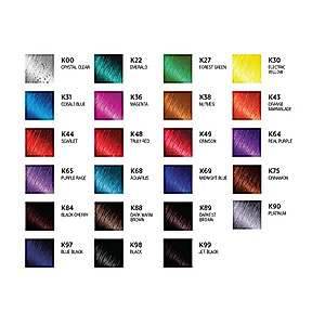 Kiss Express Semi-Permanent Hair Color 100mL (3.5 US fl.oz) (1 Count, Black)