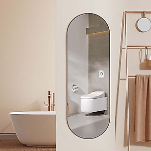 ZHUNFA 65"x 22" Oval Full Length Wall Mirror, Arched Top, Black