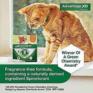Advantage XD Small Cat Flea Prevention & Treatment For Cats 1.8-9lbs. | 1-Topical Dose, 2-Months of Protection Per Dose