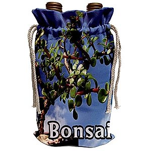 3dRose Susans Zoo Crew Bonsai - Bonsai w text photograph portulacaria afra tree 1 - Wine Bag (wbg_182078_1)