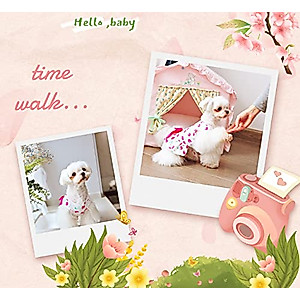 MSNFOASM 3-Pack Cherry Lemon Pineapple Print Dog Dress,Doggie Tank Top Vest Dresses,Holiday Cat Outfits,Soft Clothes for Small Dogs Girl(Small)