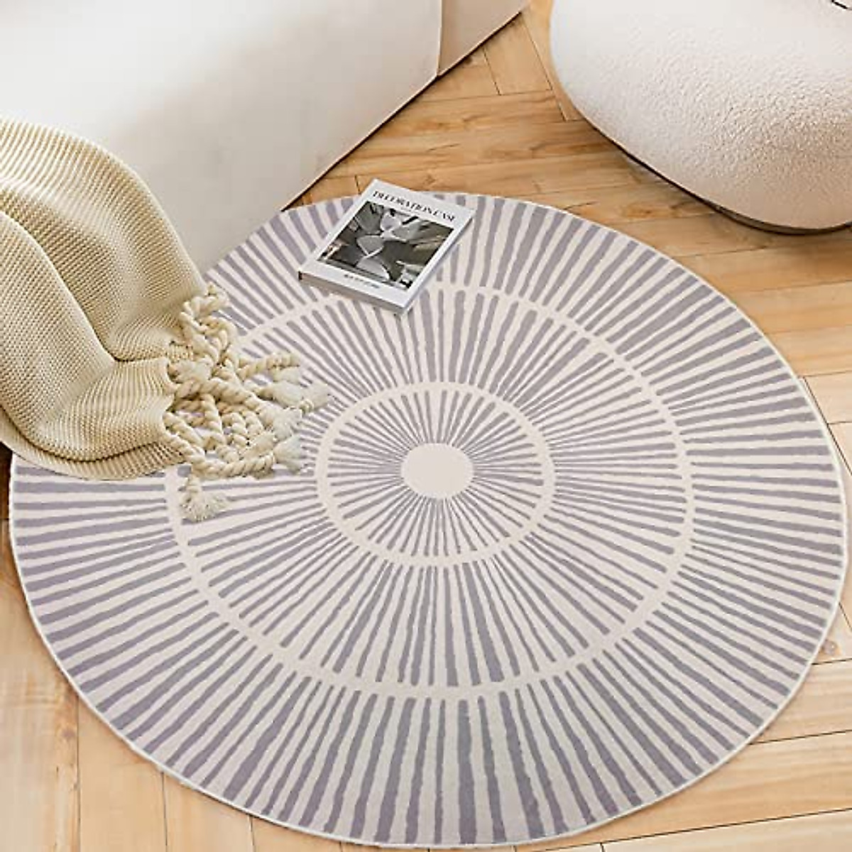 TEALP Round Area Rug 4Ft Circle Rugs Fluffy Bedroom Rug Ultra Soft Farmhouse Throw Rugs Living Room Rug Modern Aesthetic Rug Carpet for Bedroom Dorm Indoor Home Decor, 47.2" Grey