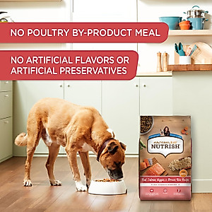 Nutrish Rachael Ray Real Salmon, Veggies & Brown Rice Recipe Dry Dog Food, 13 lb. Bag