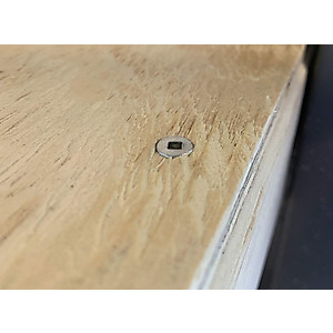 #8 x 2 Type 316 Marine Grade Stainless Steel Deck Screws, Square Drive, Quantity 50 by Marine Bolt Supply