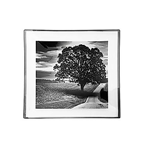 GAC Unique Landscape Design Square Tempered Glass Serving Plates – 10.5 Inch – Set of 2 – Break Resistant – Oven Proof - Microwave and Dishwasher Safe – Attractive Charcoal Colored Dinner Plate Set