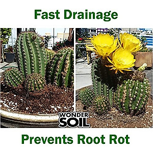WONDER SOIL | Organic Cactus & Succulent Soil (12 Quarts). Fast Draining Ready to Plant Coco Coir Loaded w/Nutrients | 3 LBS Expands to 12 Quarts | Incl Worm Castings & Nutrients