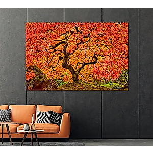 Japanese Maple in Autumn Canvas Print 5 Panels / 36x24 inches